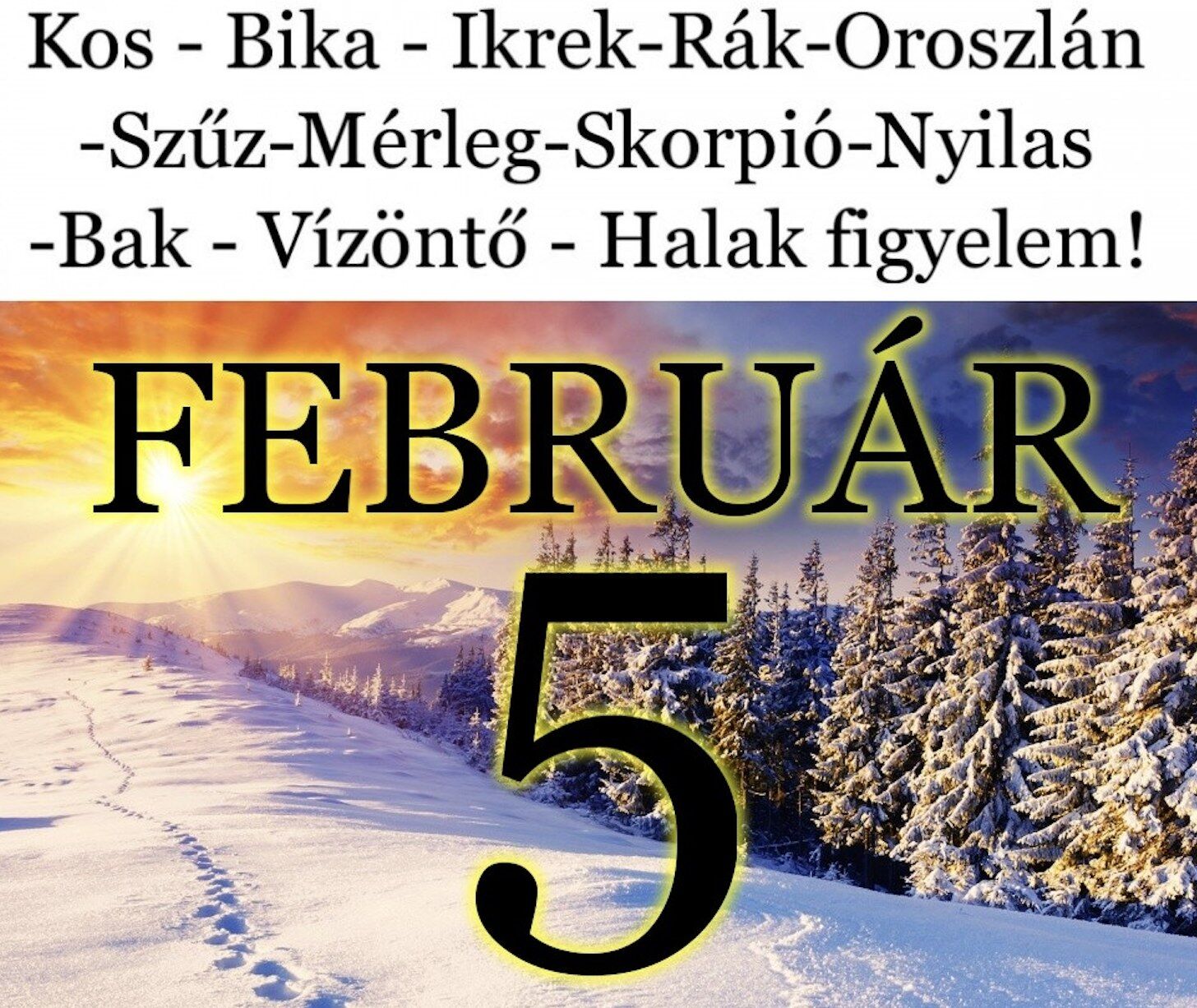 Rák-Kos - Bika - Ikrek-Oroszlán-Szűz-Mérleg-Skorpió-Nyilas-Bak ...